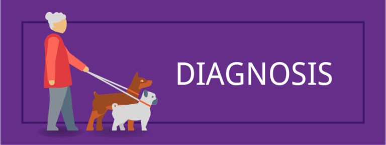Understanding Chronic Lymphocytic Leukemia (CLL) and Small Lymphocytic ...
